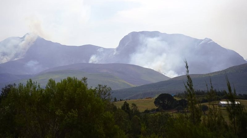 Ruiterbos wildfires still active | George Herald