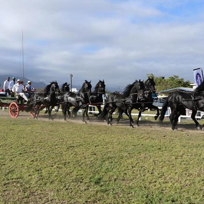 Skou leer kinders oor kos en diere | George Herald