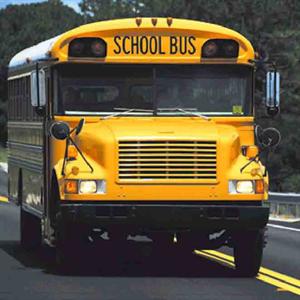 WKOD vervoerskema kry plaaslik hulp | George Herald