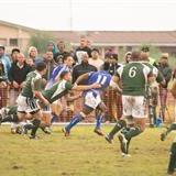 Evergreens vs Progress | George Herald