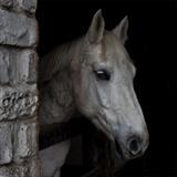 George Camera Club July winners | George Herald