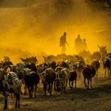 George Camera Club September winners | George Herald