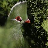 George Camera Club June winners | George Herald