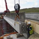 New pedestrian bridge along N2 | George Herald