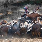 George Camera Club June winners | George Herald