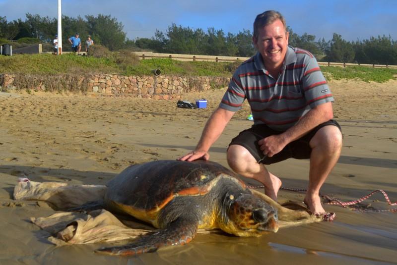 Seeskilpaaie word losgelaat | Mossel Bay Advertiser