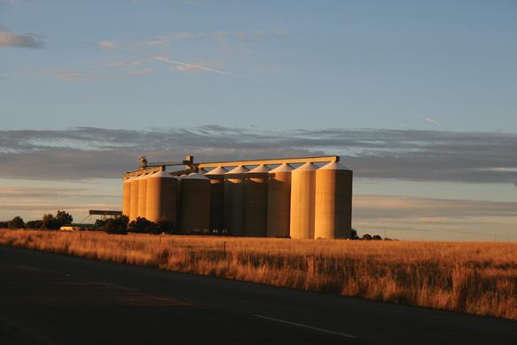 Drought impacts on Senwes financial results | Mossel Bay Advertiser