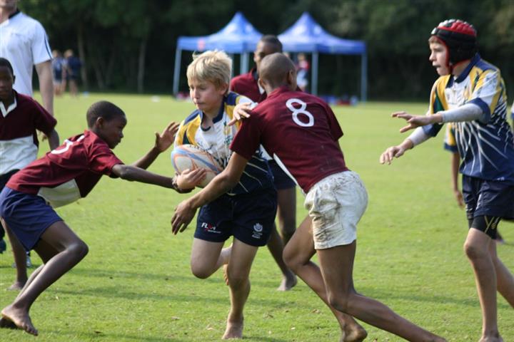 Primary schools play good rugby | Knysna-Plett Herald