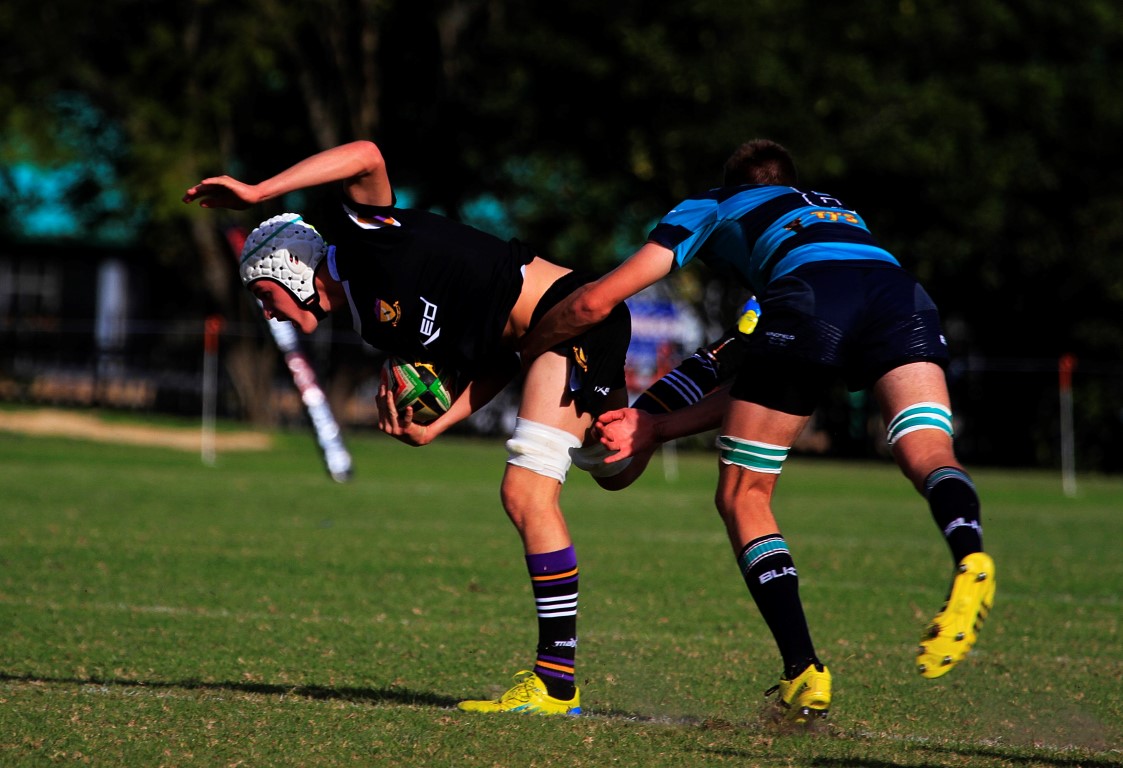 Rugby: Kwaggas vs Stellenberg | George Herald