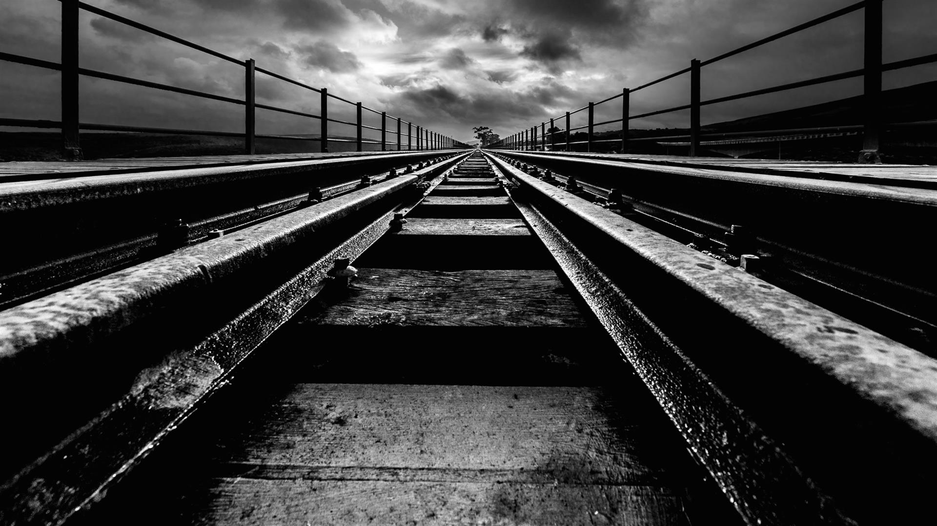 George Camera Club June winners | George Herald