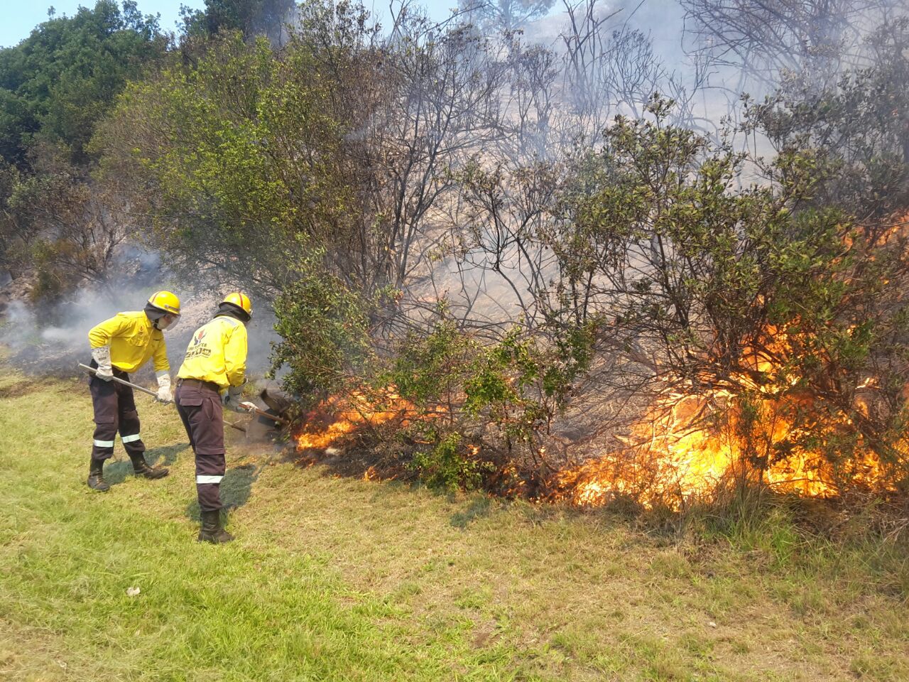Fire near Buffels Bay | Knysna-Plett Herald