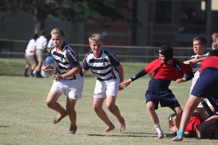 Glenwood Rugby Festival | George Herald