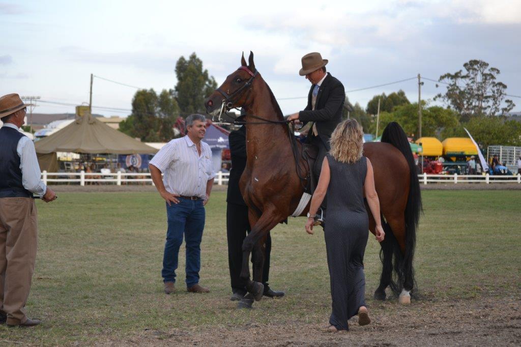 Riversdal-skou se perdeprogram wenners | Suid-Kaap Forum