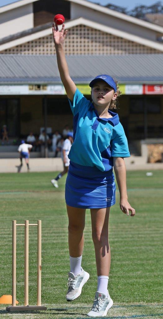 Vollies se kriekettalent vol in blom | Suid-Kaap Forum