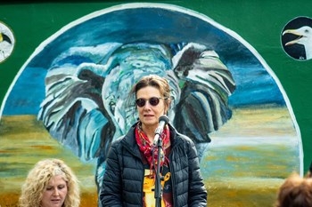Kringe in 'n Bos art installation | George Herald