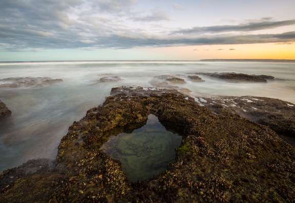 Restful Scenes for Photography day | Mossel Bay Advertiser
