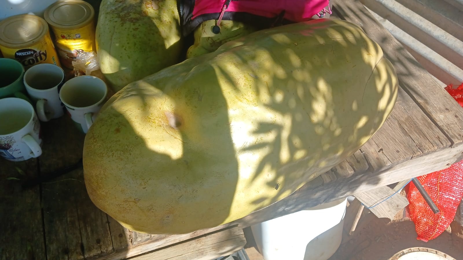 Genesis Development aktief in Zoar | George Herald