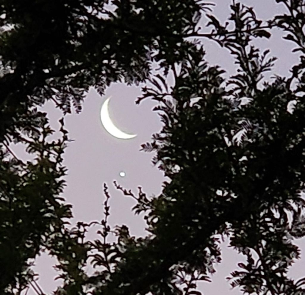 Crescent moon and Venus captured by readers | Mossel Bay Advertiser