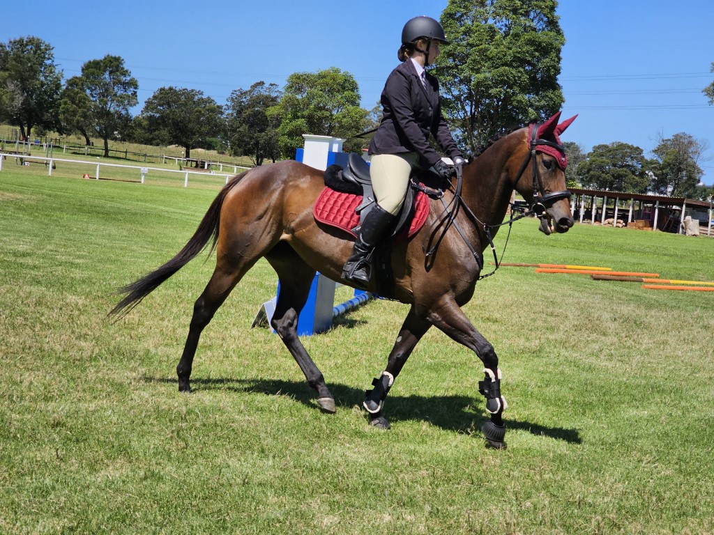 Equestrian show for learners at George Riding Club this weekend ...