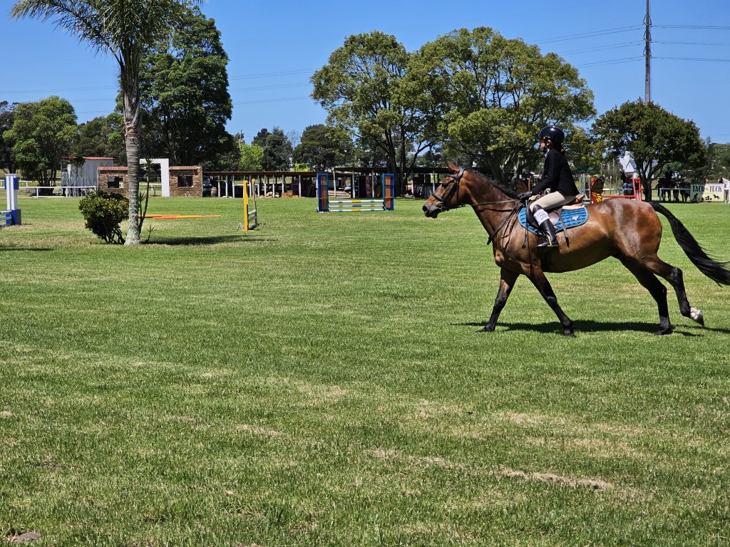 Equestrian show for learners at George Riding Club this weekend ...