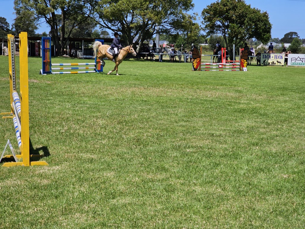 Equestrian show for learners at George Riding Club this weekend ...