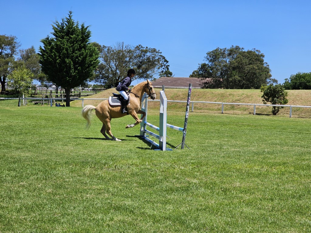 Equestrian show for learners at George Riding Club this weekend ...