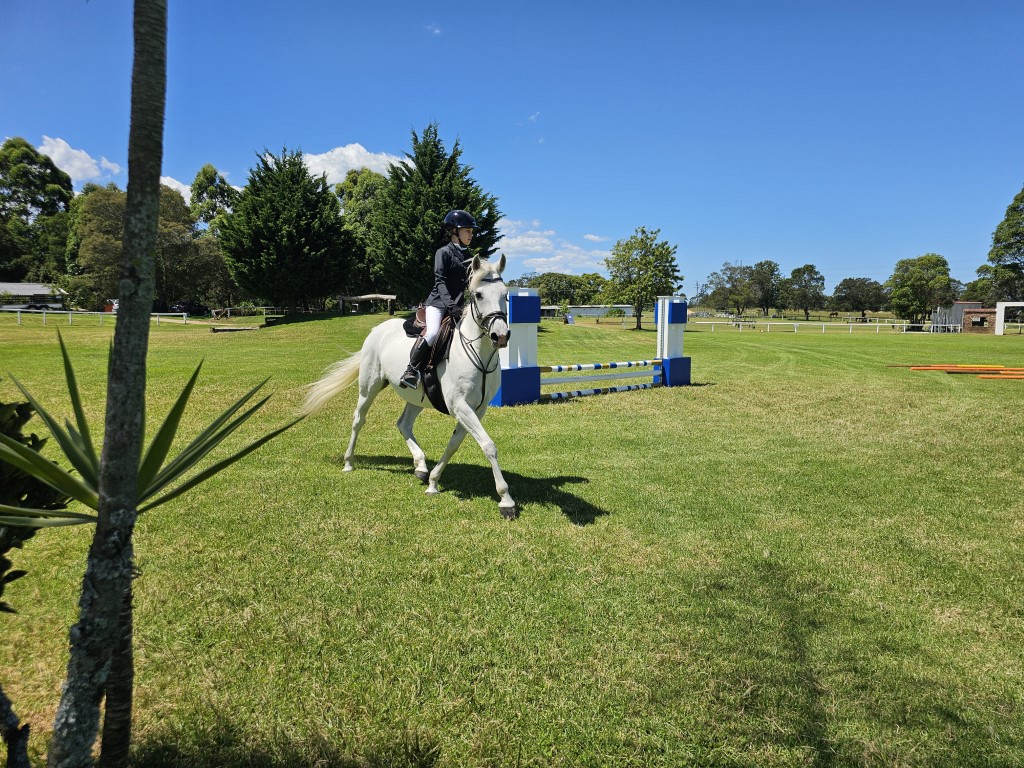 Equestrian show for learners at George Riding Club this weekend ...