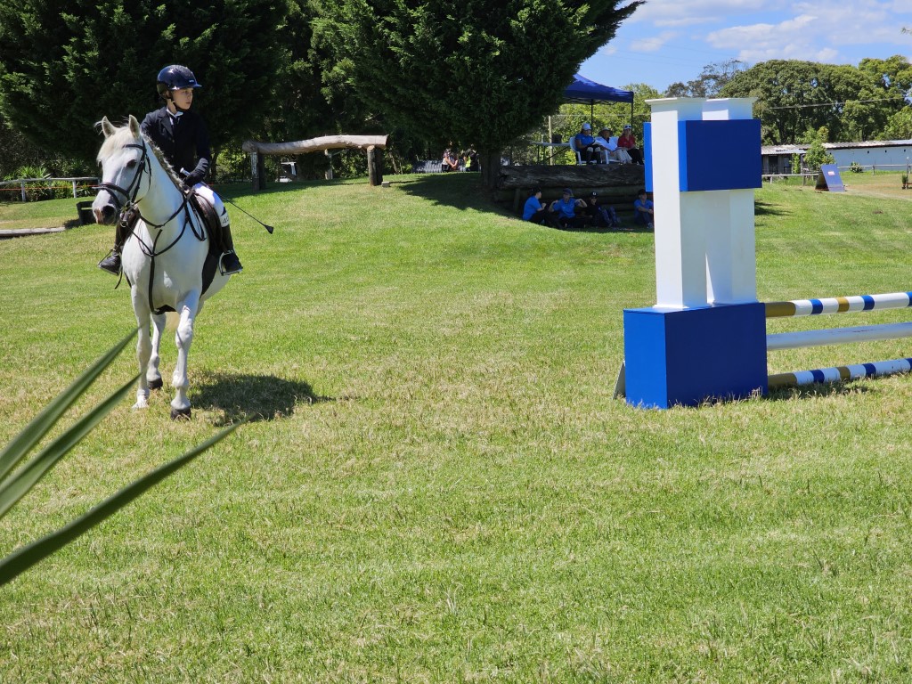 Equestrian show for learners at George Riding Club this weekend ...