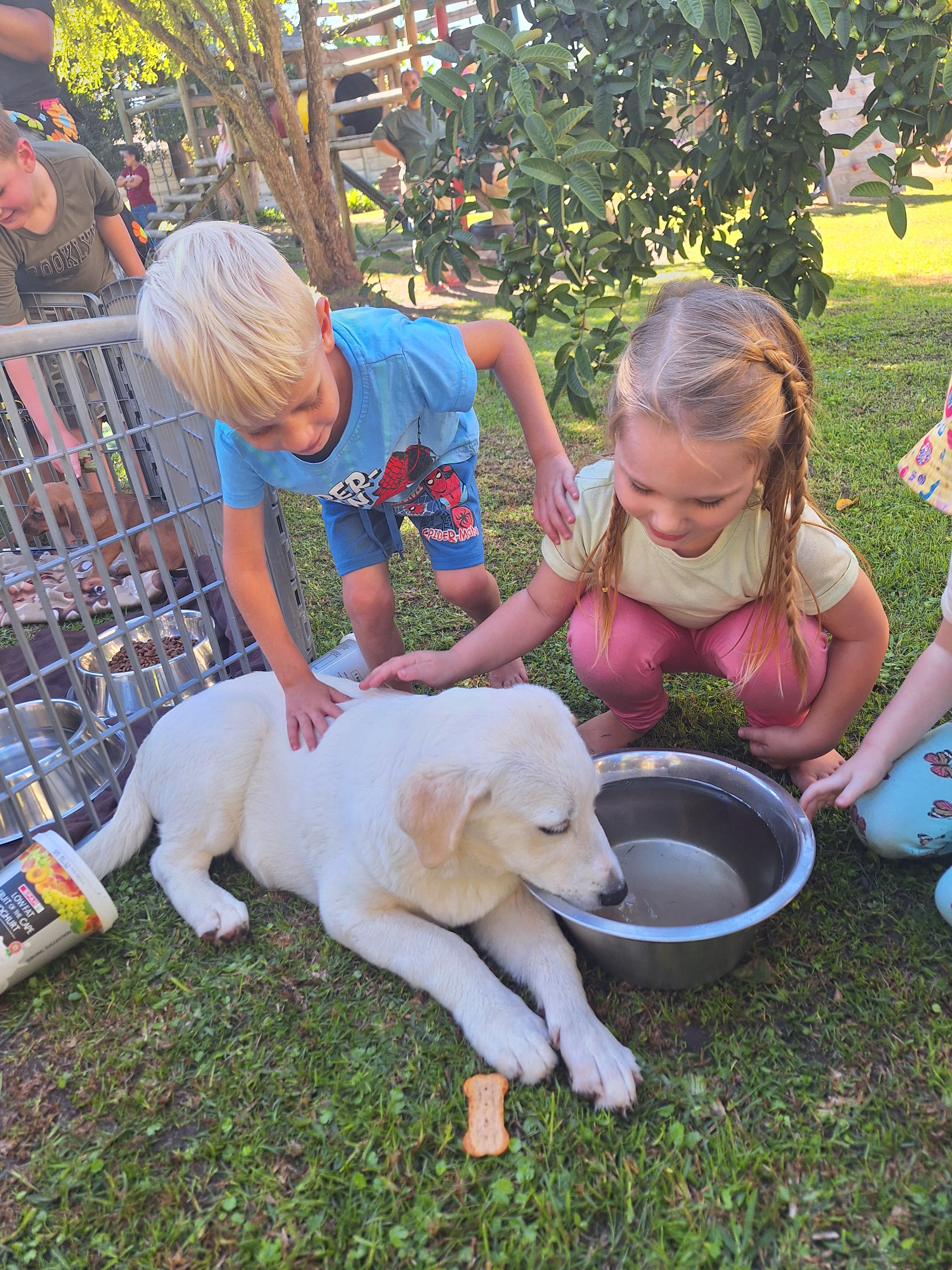 Odin en Trippel Toontjies geniet 'n leersame oggend | George Herald