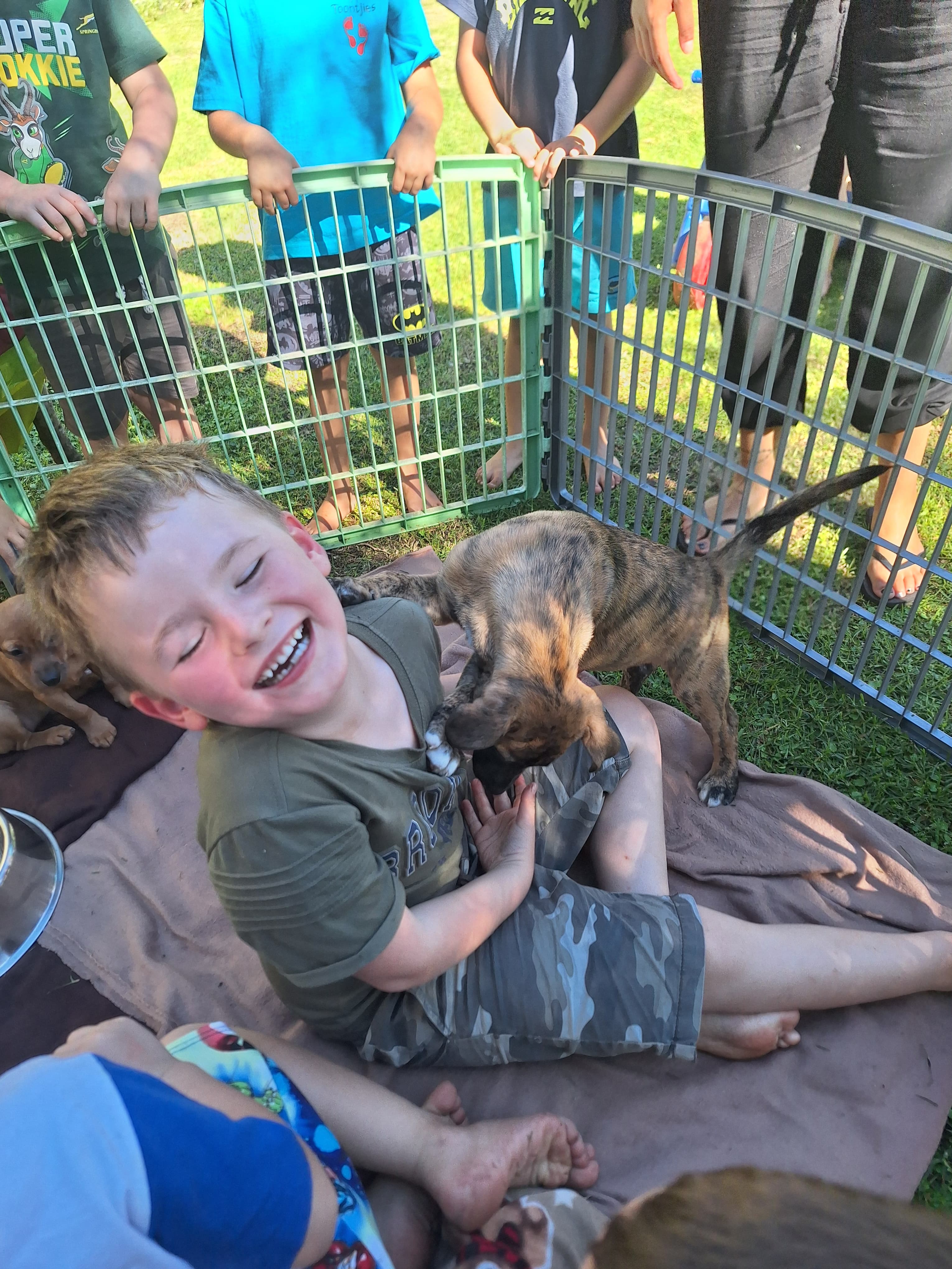 Odin en Trippel Toontjies geniet 'n leersame oggend | George Herald