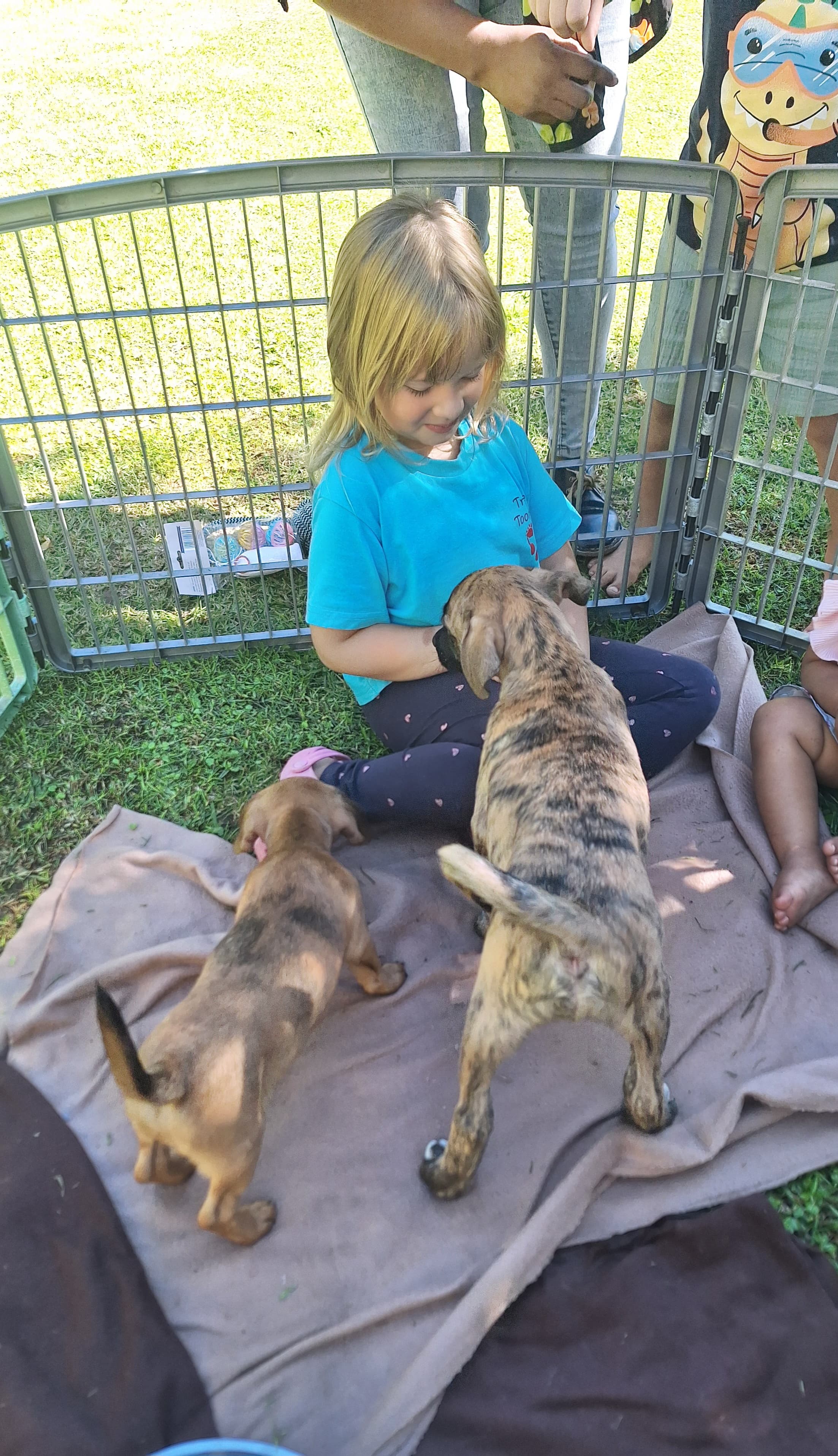 Odin en Trippel Toontjies geniet 'n leersame oggend | George Herald