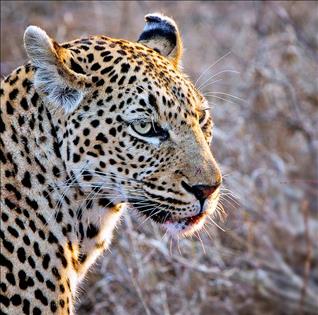 Camera Club Winners | George Herald