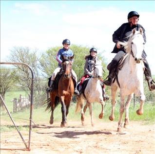 Heidelberg saal die regte perd op | Suid-Kaap Forum