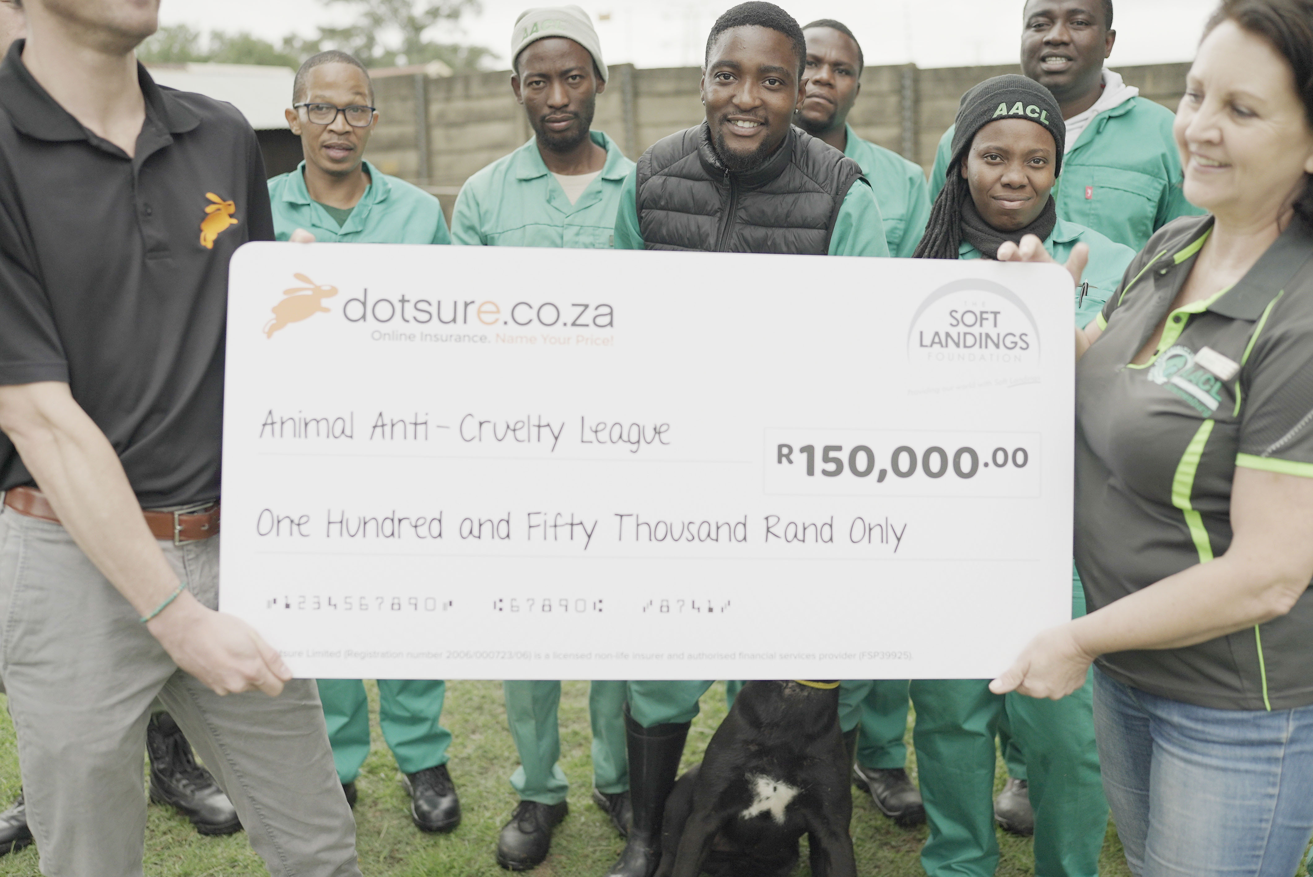 More than insurance: How the #1 pet insurer showed up in 2025 | George ...