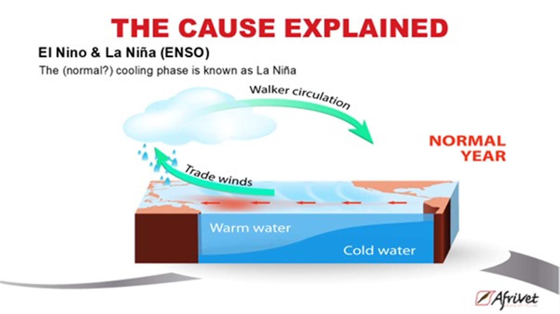 La Niña phenomenon predicted | Mossel Bay Advertiser