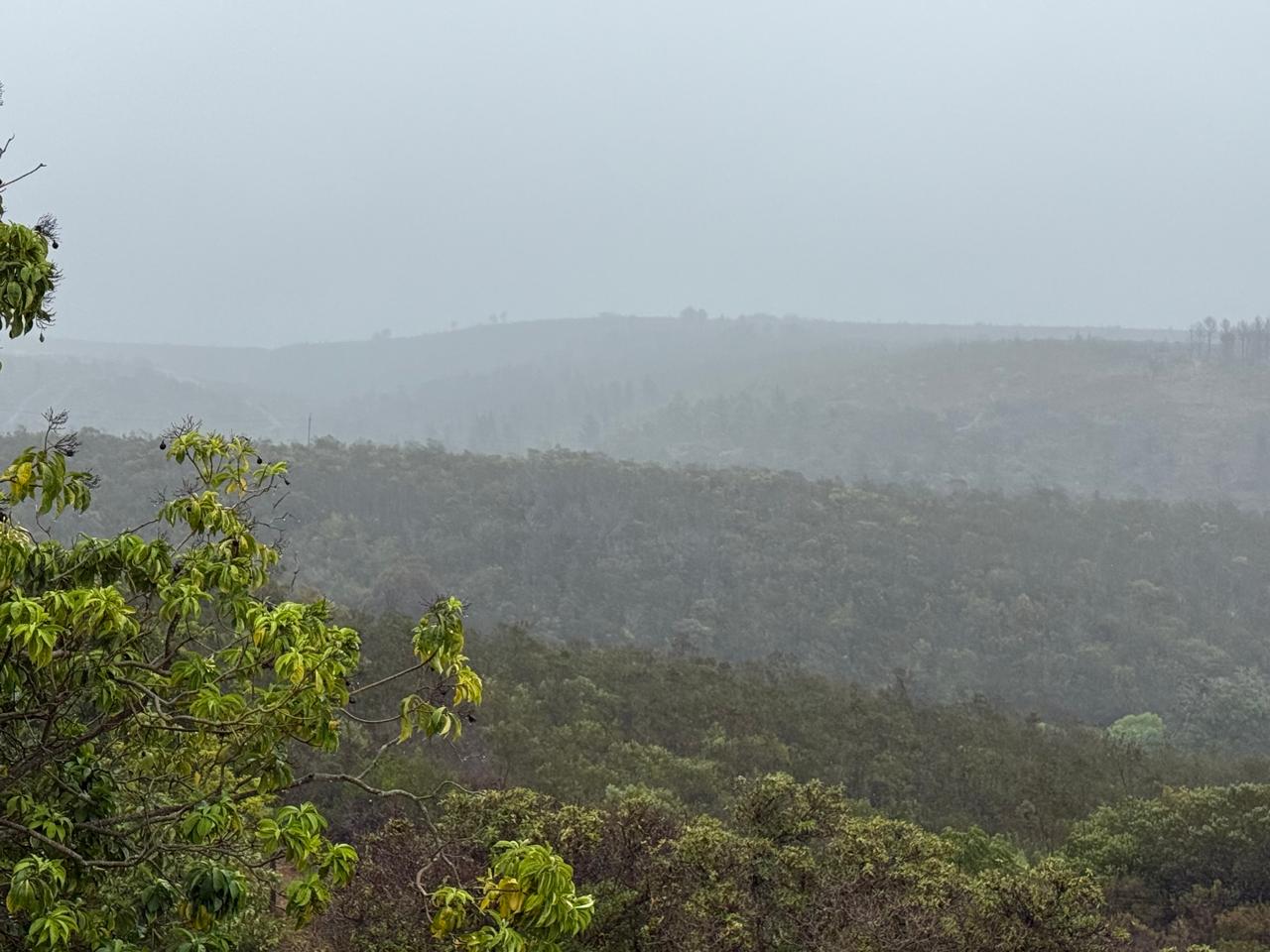 Rain, rain… coming again | Knysna-Plett Herald