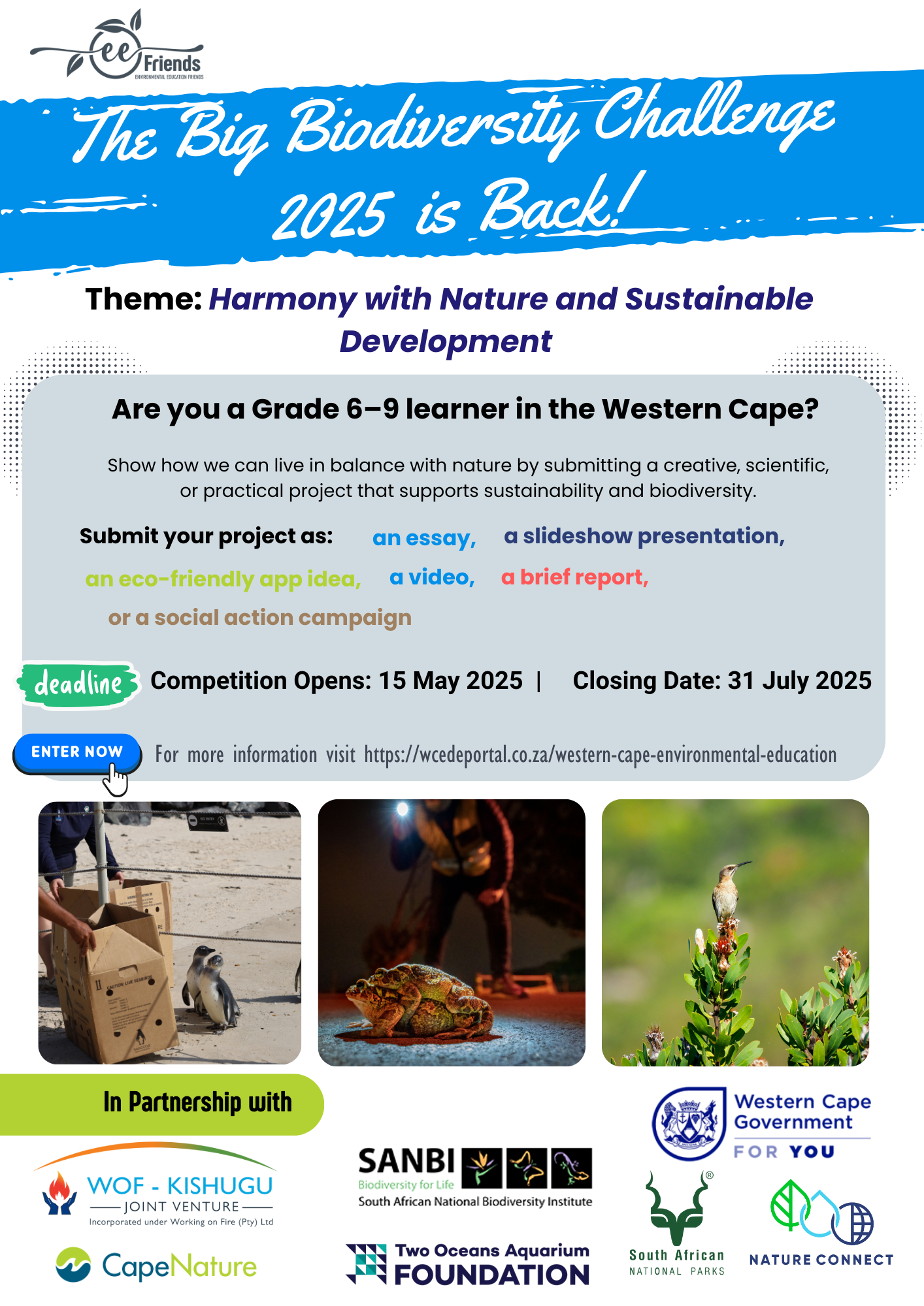 The Big Biodiversity Challenge is back: Learners tackle biodiversity ...