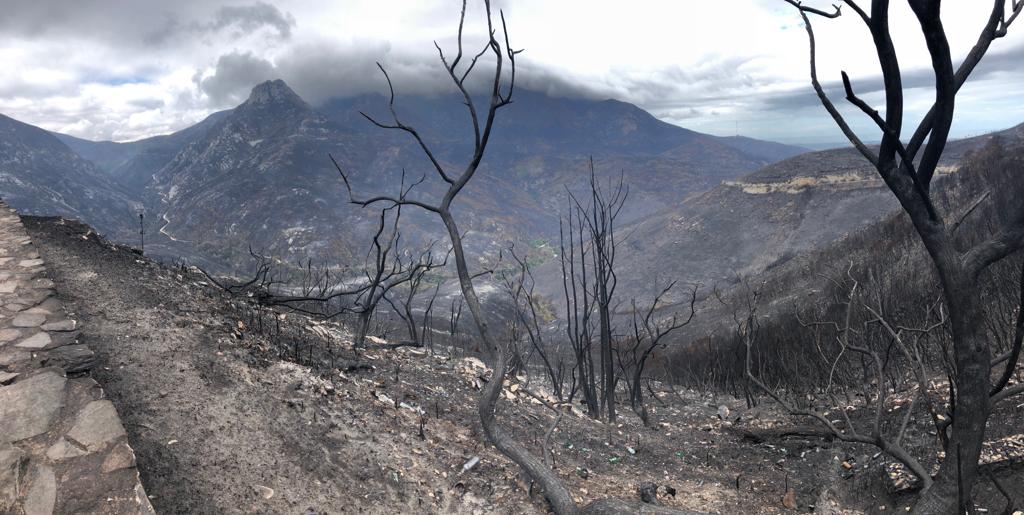 George Fires 2018: The insurance impact | George Herald