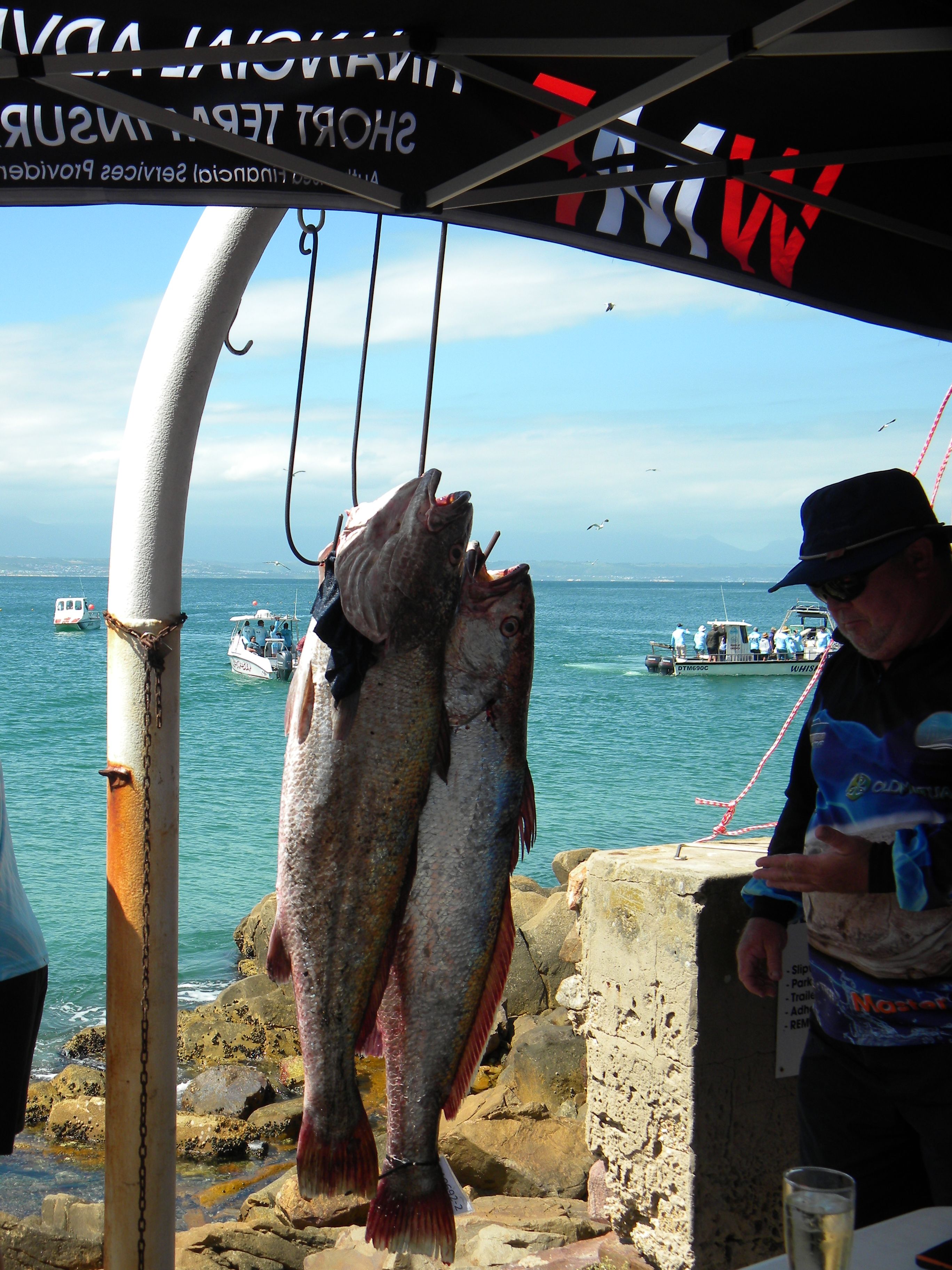 Wenner trek 19.1kg vis uit | Mossel Bay Advertiser