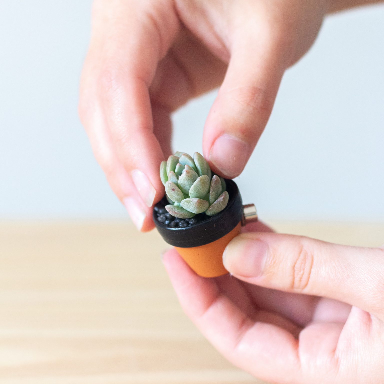 These succulent fridge magnets are so cute and they’re easy to make ...