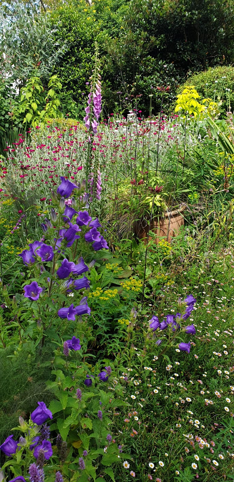 Open Gardens make for stunning viewing | George Herald