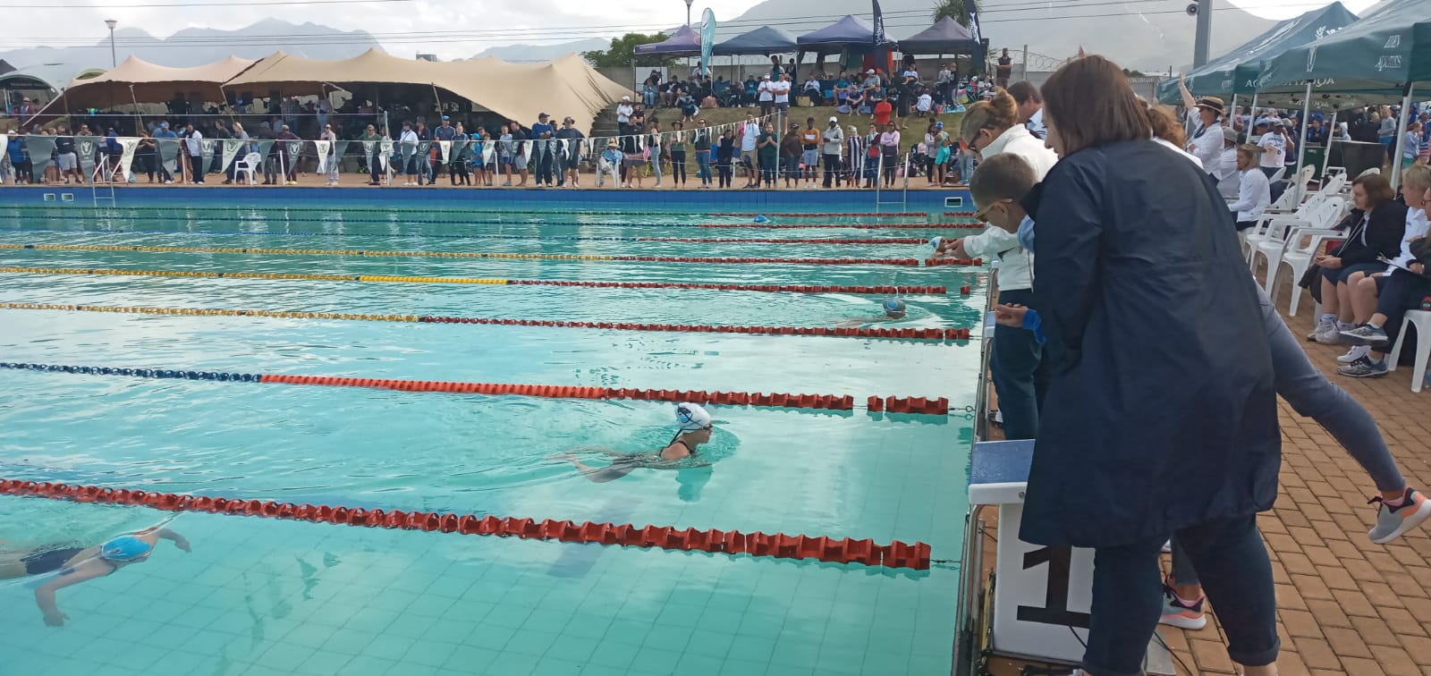 Swemmers van heinde en ver trek saam | George Herald