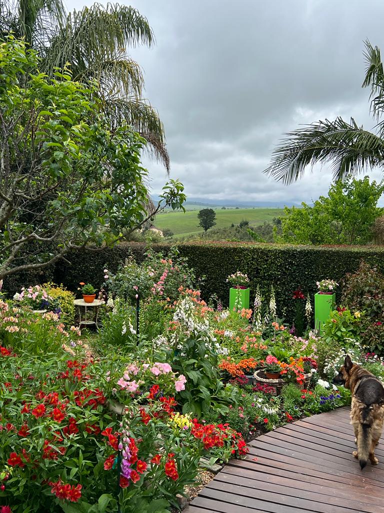 Last Day for Hoekwil Open Gardens | George Herald