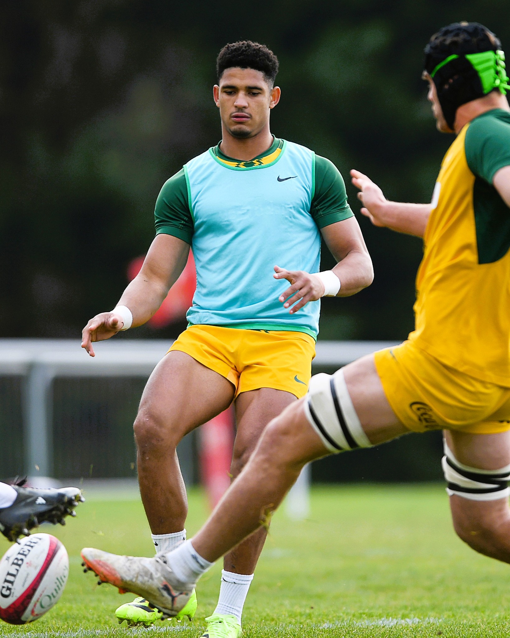 Springboks in 2025: Highs, lows, winners and losers | George Herald