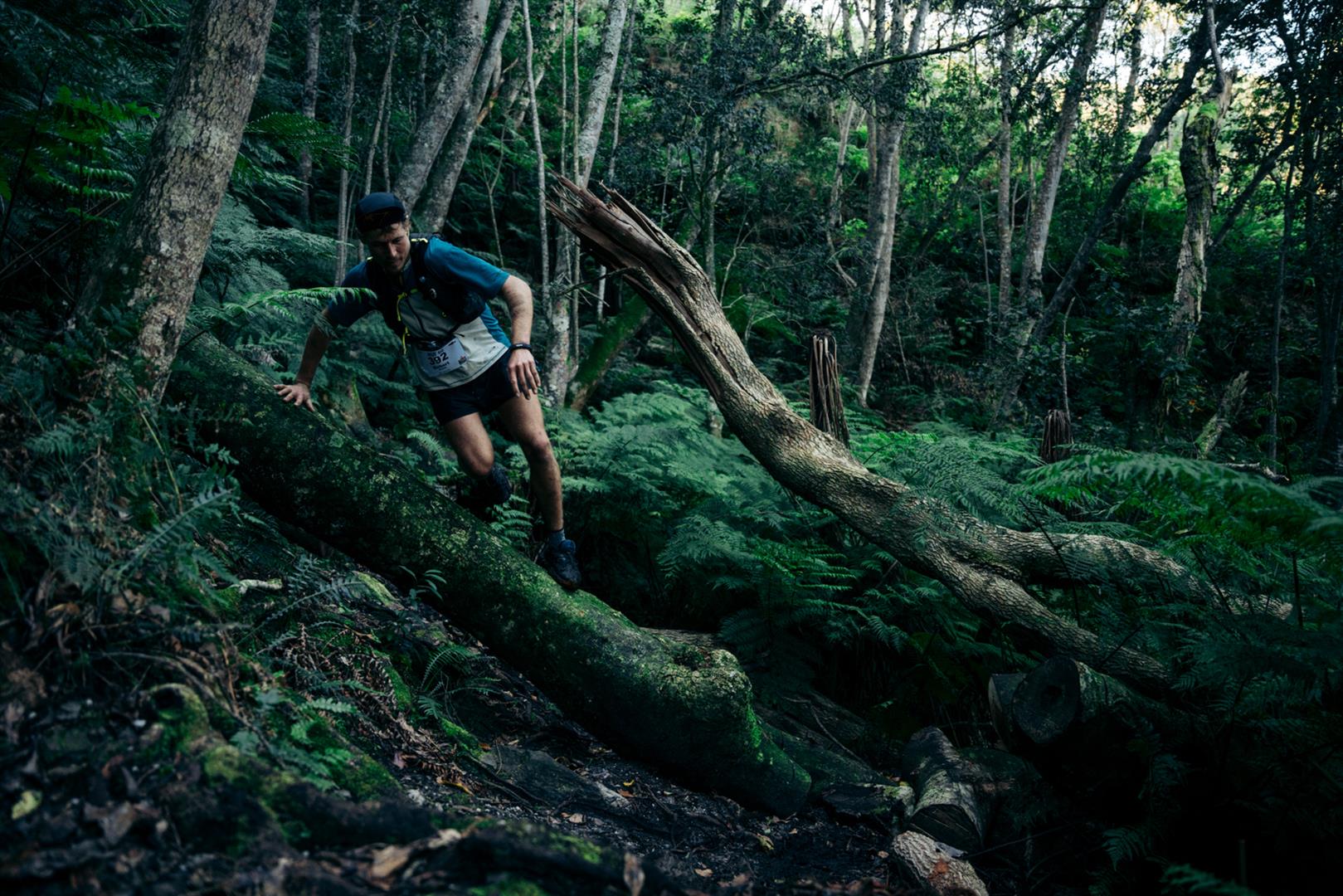2024 Edition of the MUT by UTMB Set to Break Records | Knysna-Plett Herald