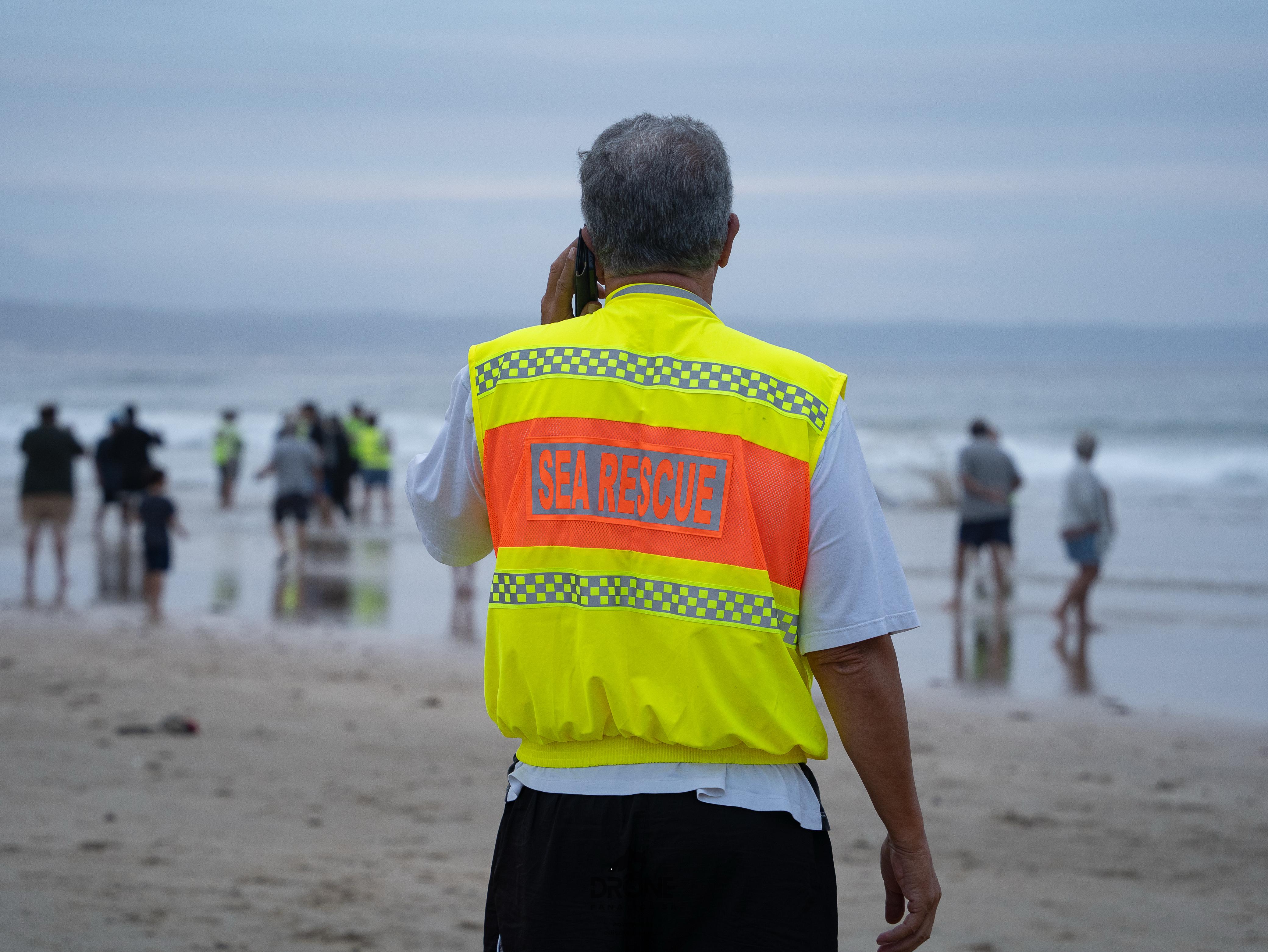 Inwoners vertel van aangrypende tonele by walvis en kalf | Mossel Bay ...