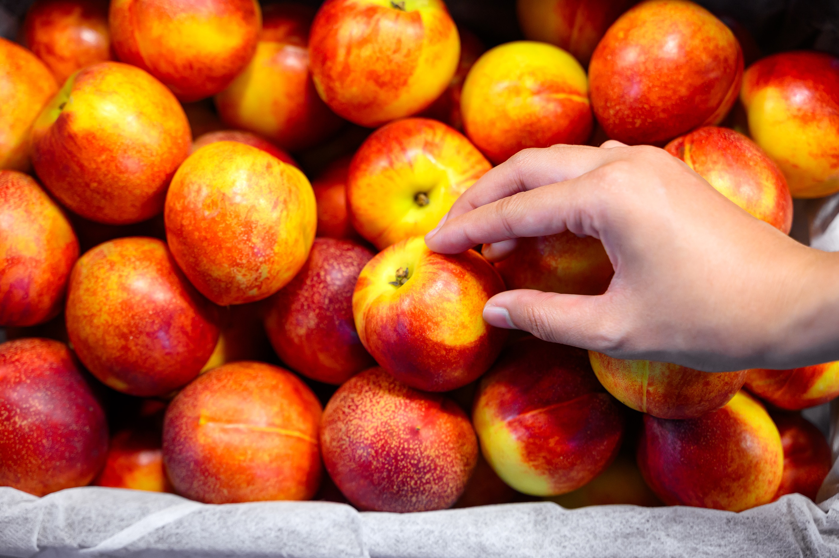 Juicy & delicious – Welcome to SA’s stone fruit season | George Herald