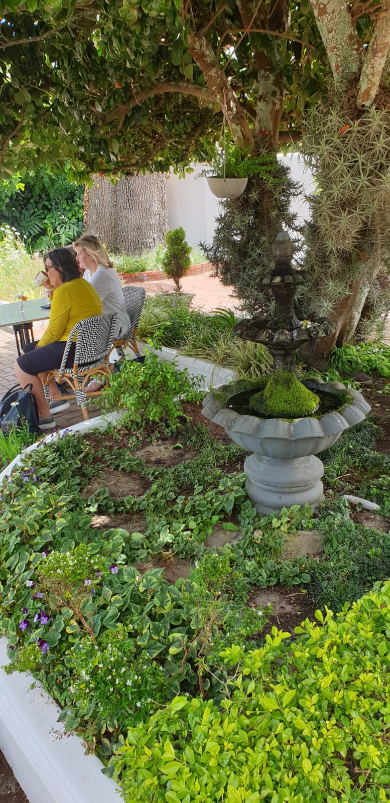 Open Gardens make for stunning viewing | George Herald