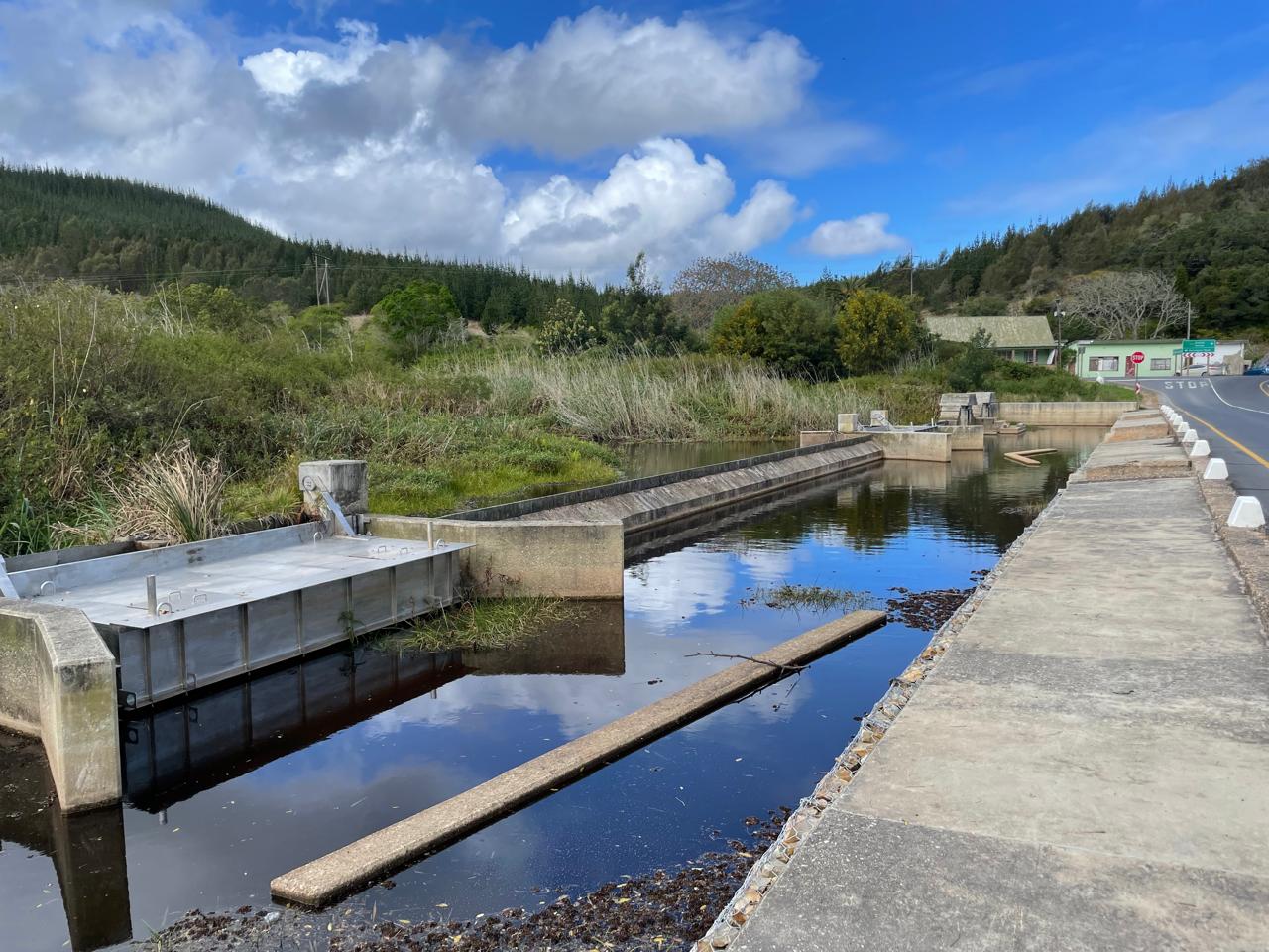 Low rainfall and aliens slow Karatara River down | Knysna-Plett Herald