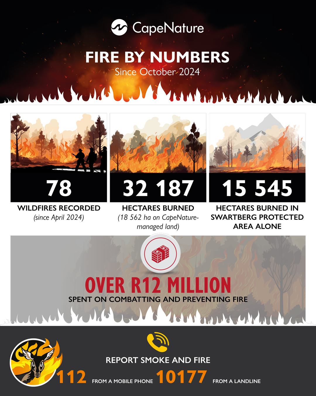 Over 32 000 ha scorched in Western Cape fire season | George Herald